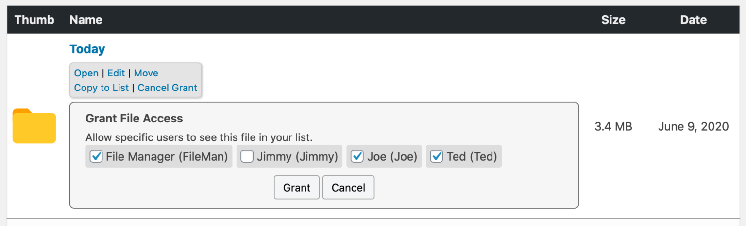 File Access Manager - Simple File List