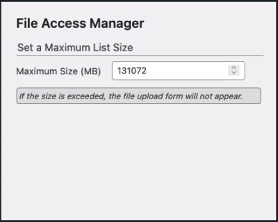 File Access Manager - Simple File List
